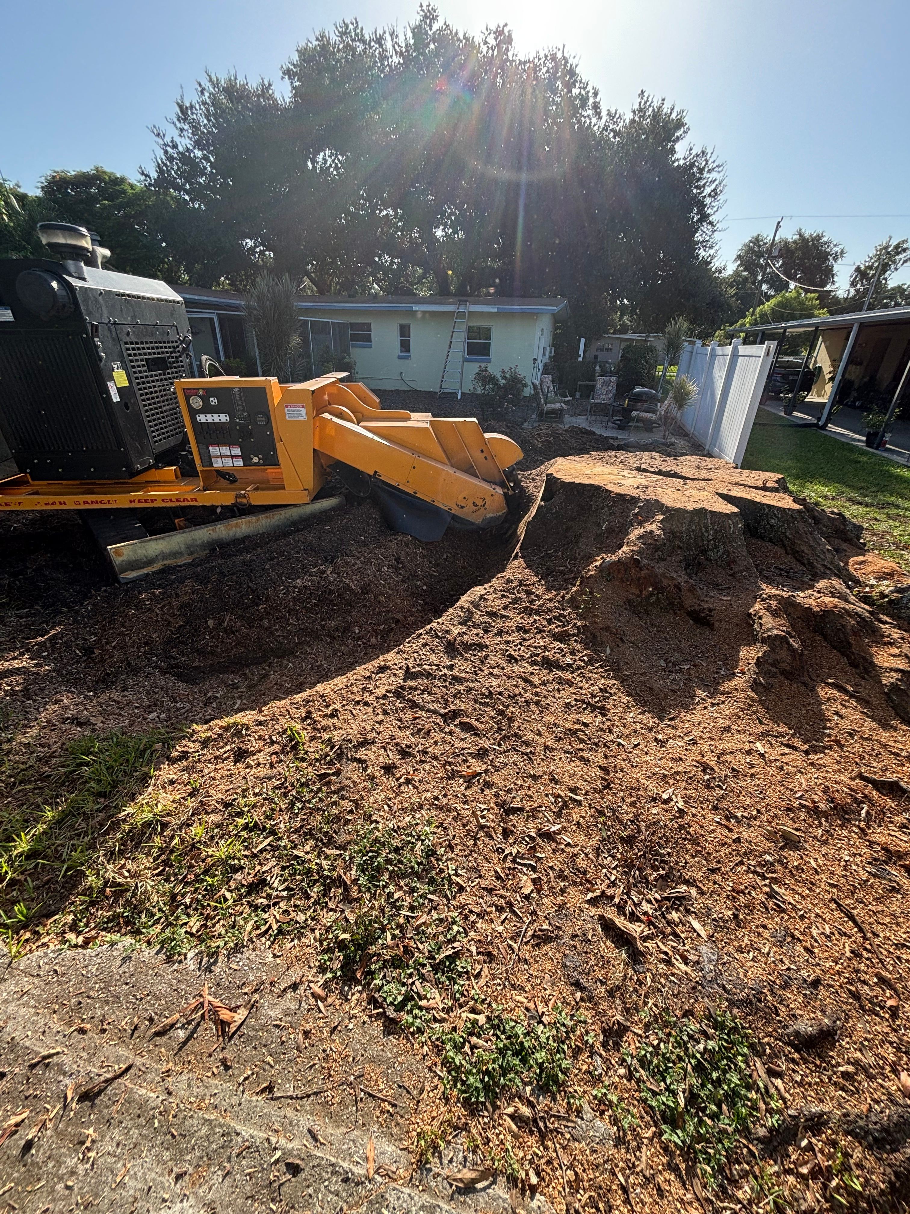 Daily Inspiration: Meet Tommy Gaston - OrlandoVoyager